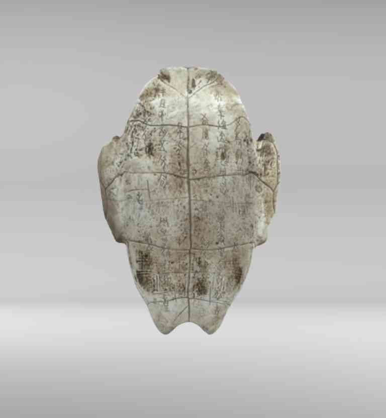 甲骨文 - 3DeVOK 思看创新